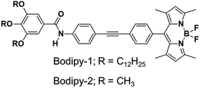An unprecedented amplification of near-infrared emission in a Bodipy ...