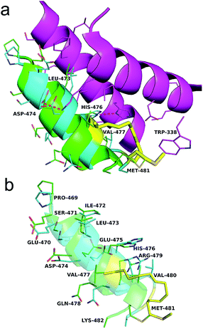 A novel peptide stapling strategy enables the retention of ring-closing ...