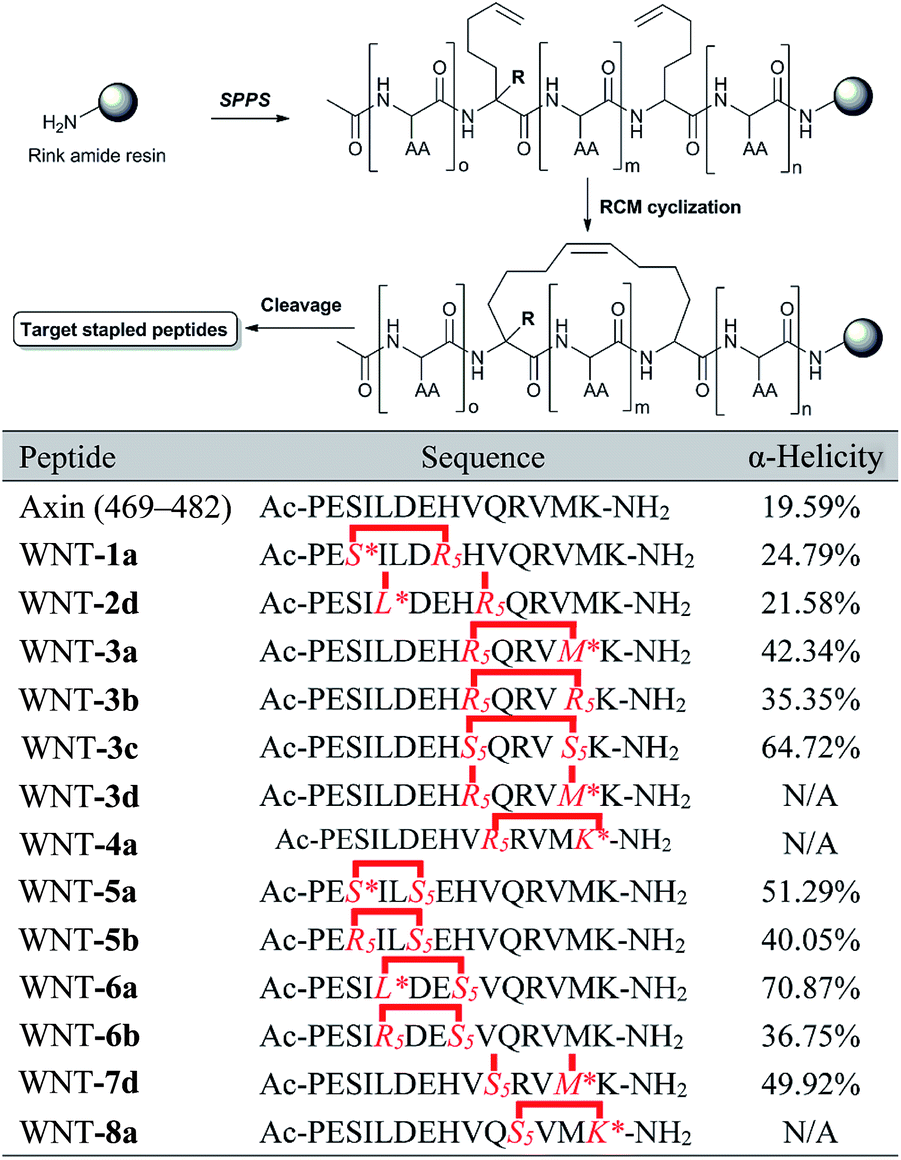 A novel peptide stapling strategy enables the retention of ring-closing ...