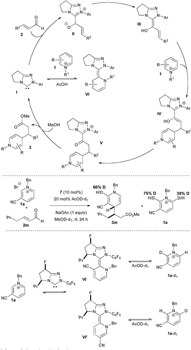 Enantioselective N -heterocyclic carbene-catalyzed nucleophilic ...