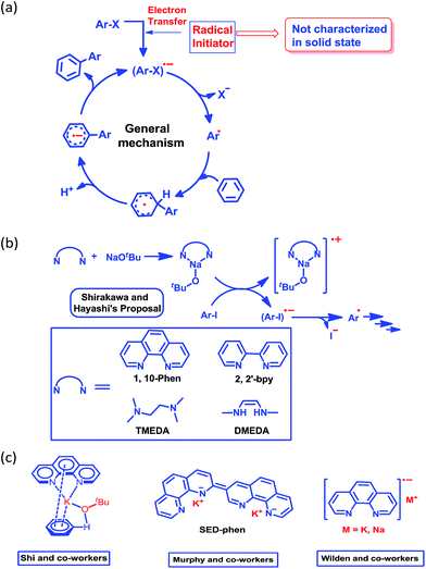 A new face of phenalenyl-based radicals in the transition metal-free C ...