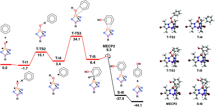 A competing, dual mechanism for catalytic direct benzene hydroxylation ...