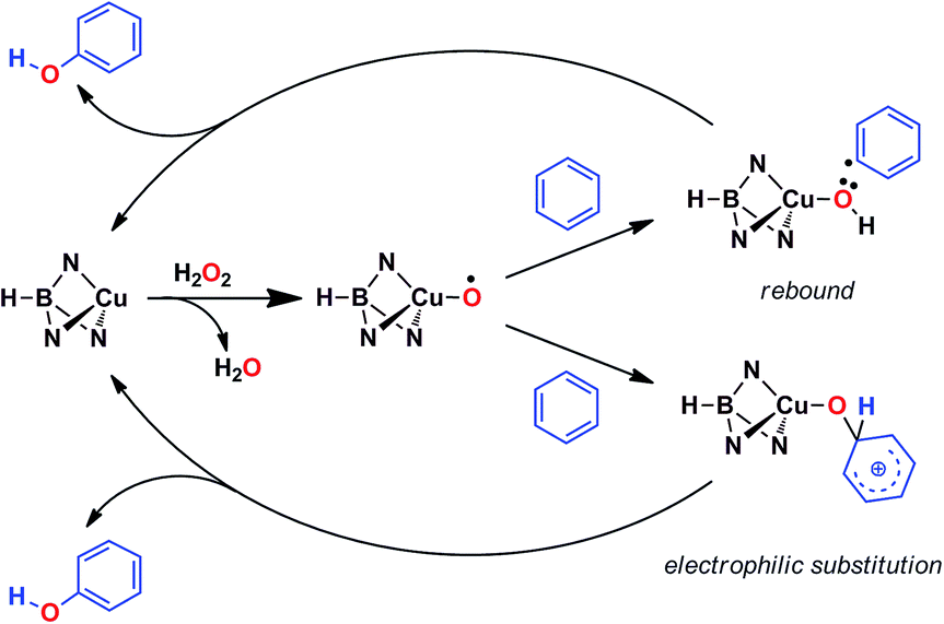 A competing, dual mechanism for catalytic direct benzene hydroxylation ...