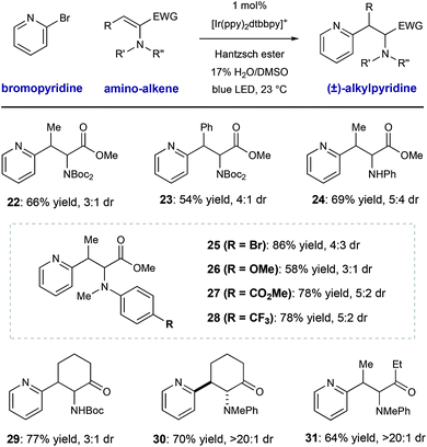 A practical and scalable system for heteroaryl amino acid synthesis ...
