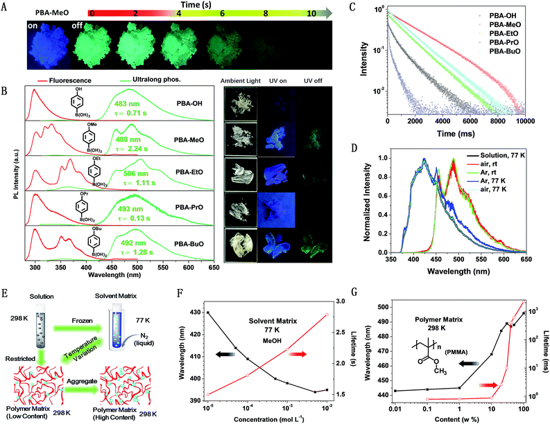 Abnormal room temperature phosphorescence of purely organic boron ...
