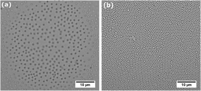 Harnessing the advantages of hard and soft colloids by the use of core ...