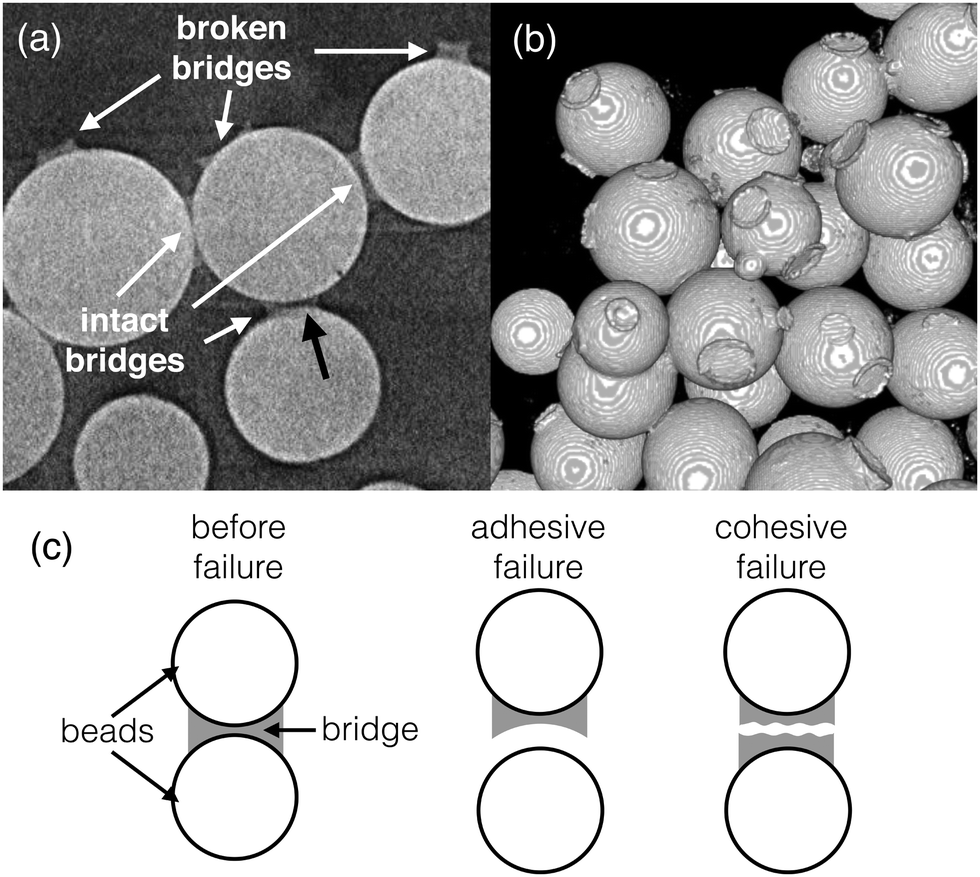 Fracture of a model cohesive granular material - Soft Matter (RSC ...