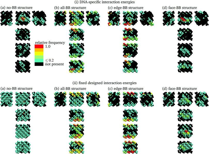 Investigating the role of boundary bricks in DNA brick self-assembly ...