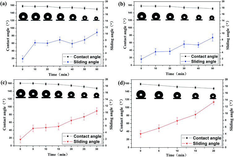 Large-scale fabrication of translucent and repairable superhydrophobic ...