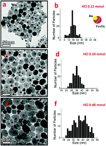 Gold–iron oxide dimers for magnetic hyperthermia: the key role of ...