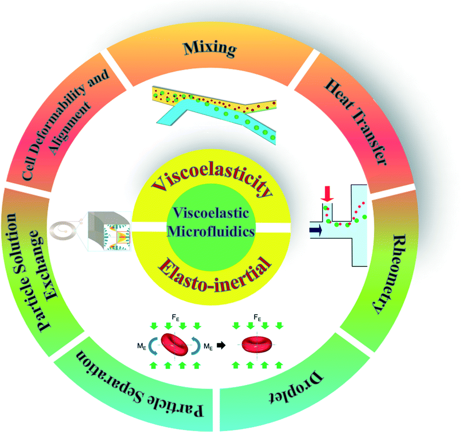 Recent progress of particle migration in viscoelastic fluids - Lab on a Chip (RSC Publishing ...