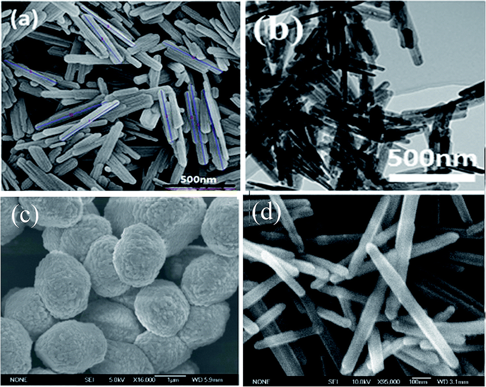 Synthesis and application of iron-based nanomaterials as Synthesis and application of iron-based nanomaterials as