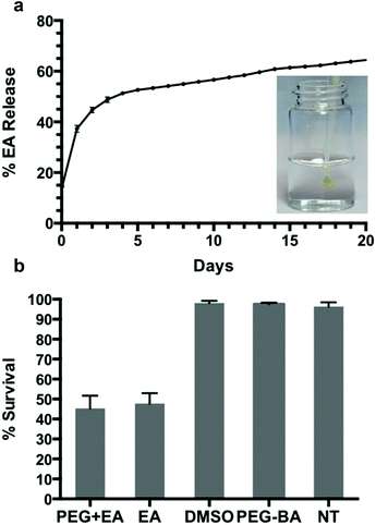 Injectable dynamic covalent hydrogels of boronic acid polymers cross ...