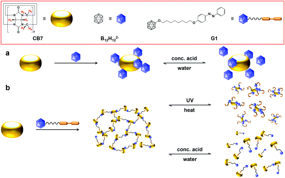 The chaotropic effect as an orthogonal assembly motif for multi-responsive dodecaborate ...