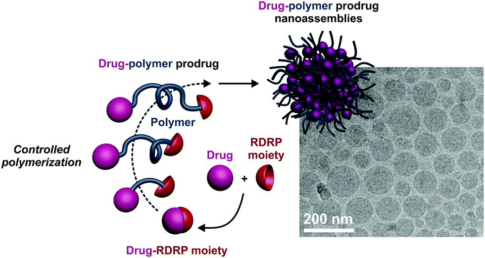 Telechelic polymers from reversible-deactivation radical polymerization ...