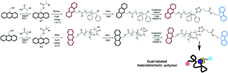 Telechelic polymers from reversible-deactivation radical polymerization ...