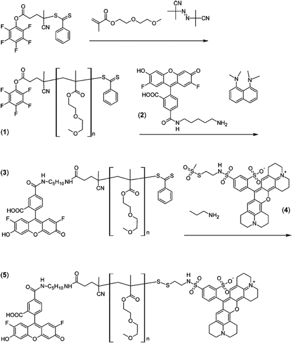 Telechelic polymers from reversible-deactivation radical polymerization ...