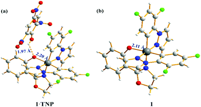 Selective sensing of 2,4,6-trinitrophenol (TNP) in aqueous media with ...