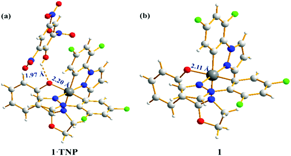 Selective sensing of 2,4,6-trinitrophenol (TNP) in aqueous media with ...