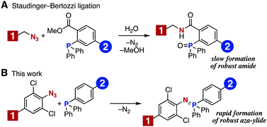 Staudinger reaction using 2,6-dichlorophenyl azide derivatives for ...