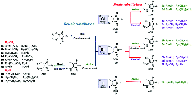 Rational design of substituted maleimide dyes with tunable fluorescence ...
