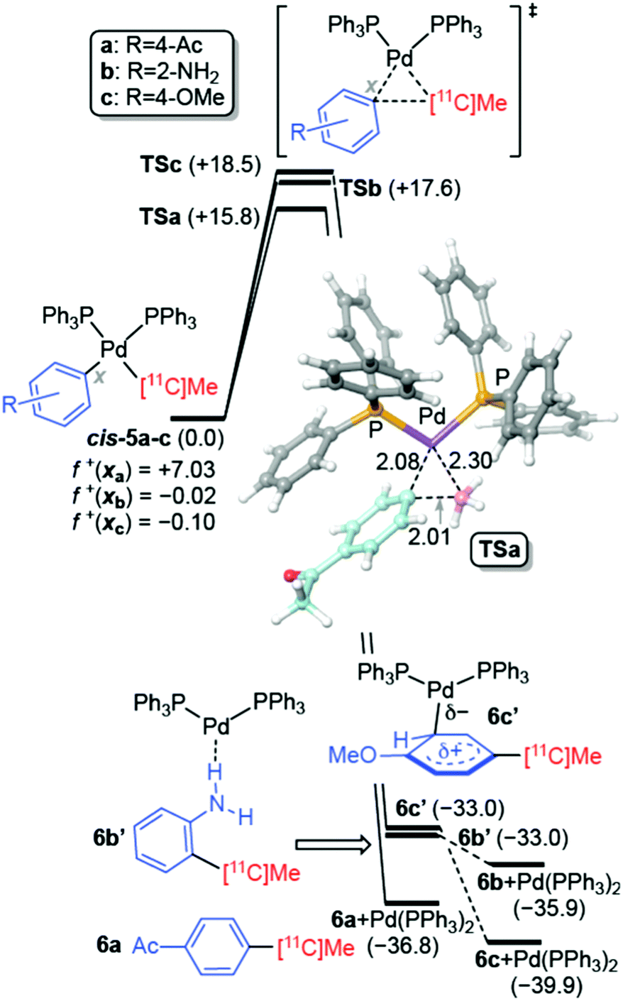 Negishi coupling reactions with [ 11 C]CH 3 I: a versatile method for ...