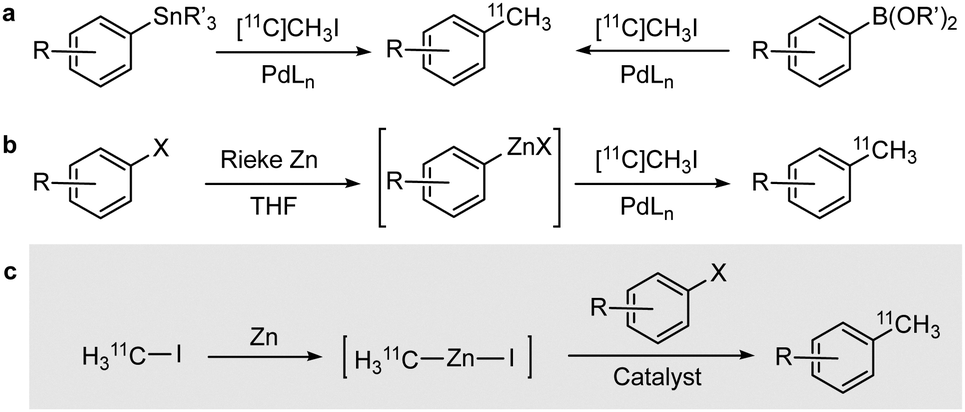 Negishi coupling reactions with [ 11 C]CH 3 I: a versatile method for ...
