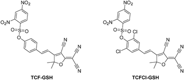 Long-wavelength TCF-based fluorescence probes for the detection and ...