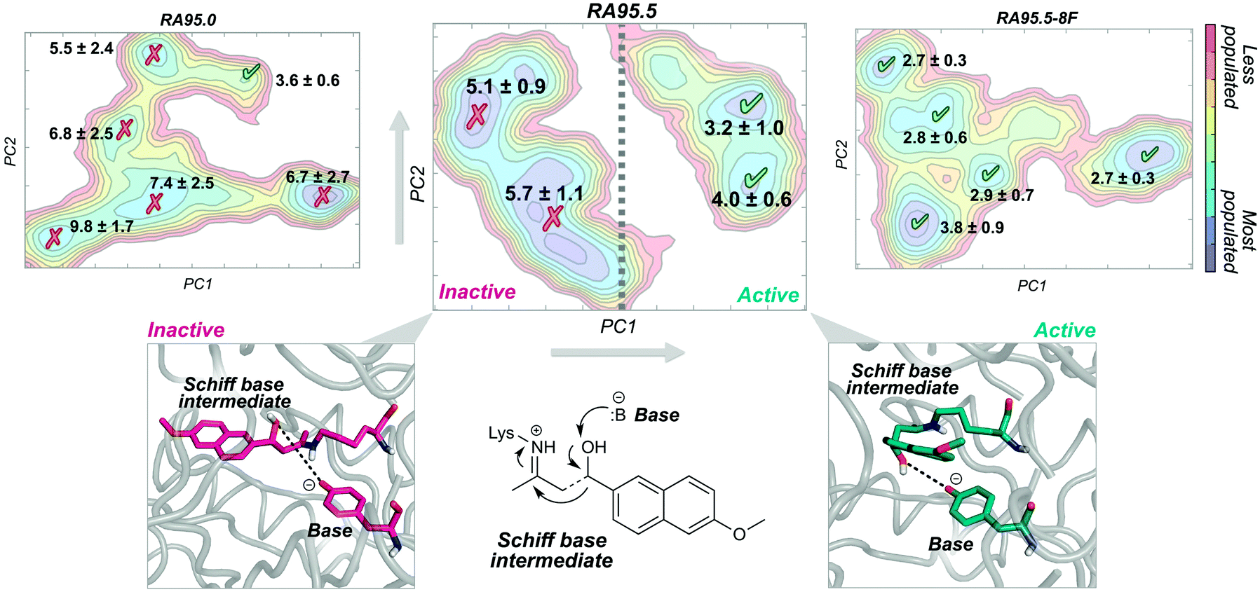 Role of conformational dynamics in the evolution of novel enzyme ...