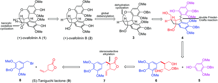 Asymmetric total synthesis of (+)-ovafolinins A and B - Chemical ...
