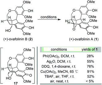Asymmetric total synthesis of (+)-ovafolinins A and B - Chemical ...