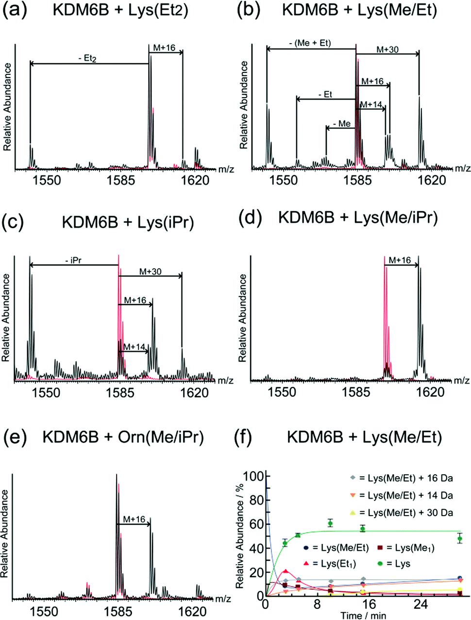 Human histone demethylase KDM6B can catalyse sequential oxidations ...