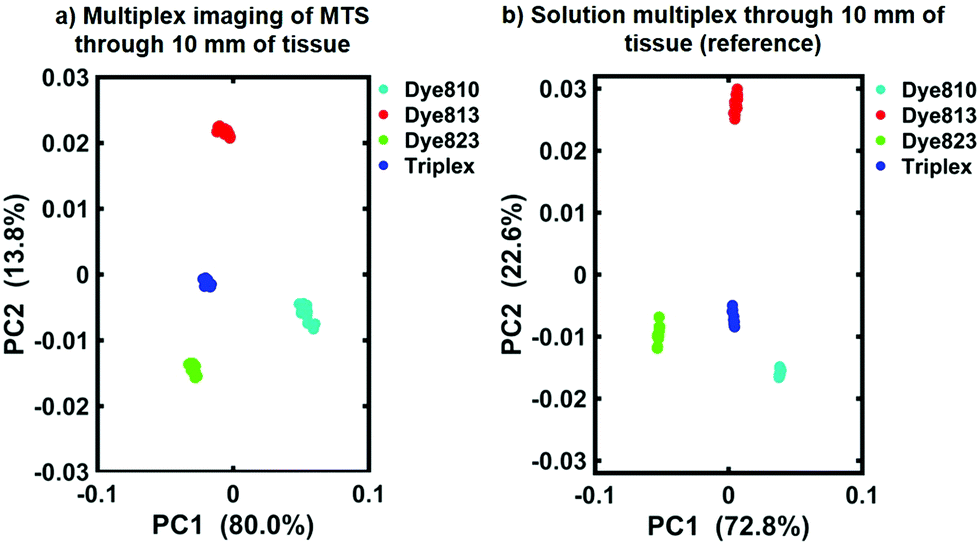 Multiplex imaging of live breast cancer tumour models through tissue ...
