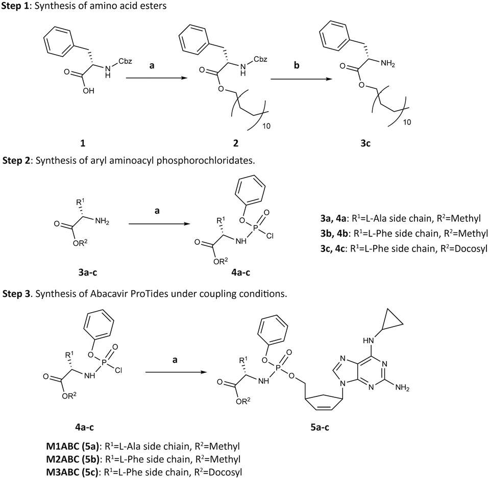 ProTide generated long-acting abacavir nanoformulations - Chemical ...