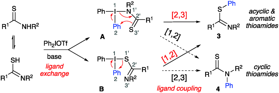 Transition metal-free, chemoselective arylation of thioamides yielding ...