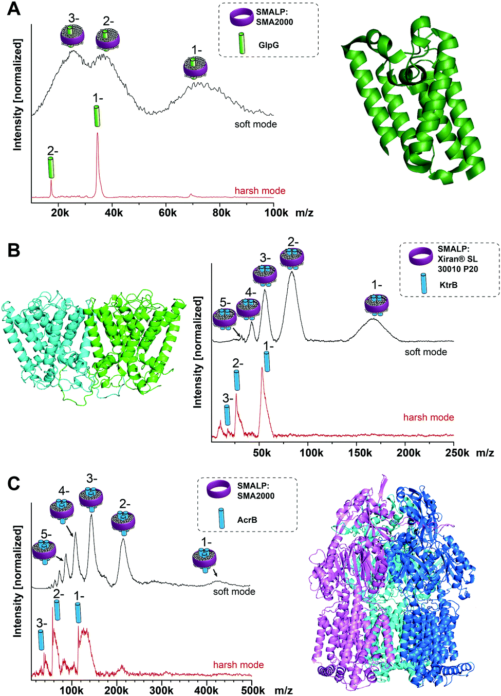 Native mass spectrometry goes more native: investigation of membrane ...