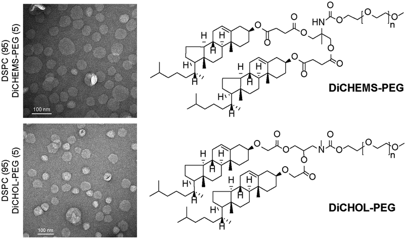 Correction: Sterol-modified PEG lipids: alteration of the bilayer ...