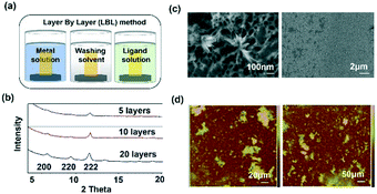 SURMOF induced polymorphism and crystal morphological engineering of ...