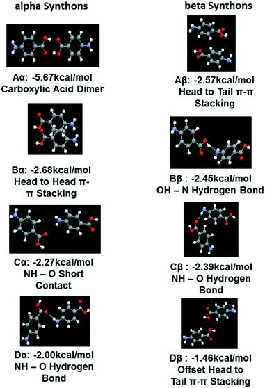 The thermal expansion coefficients of the alpha and beta polymorphic ...