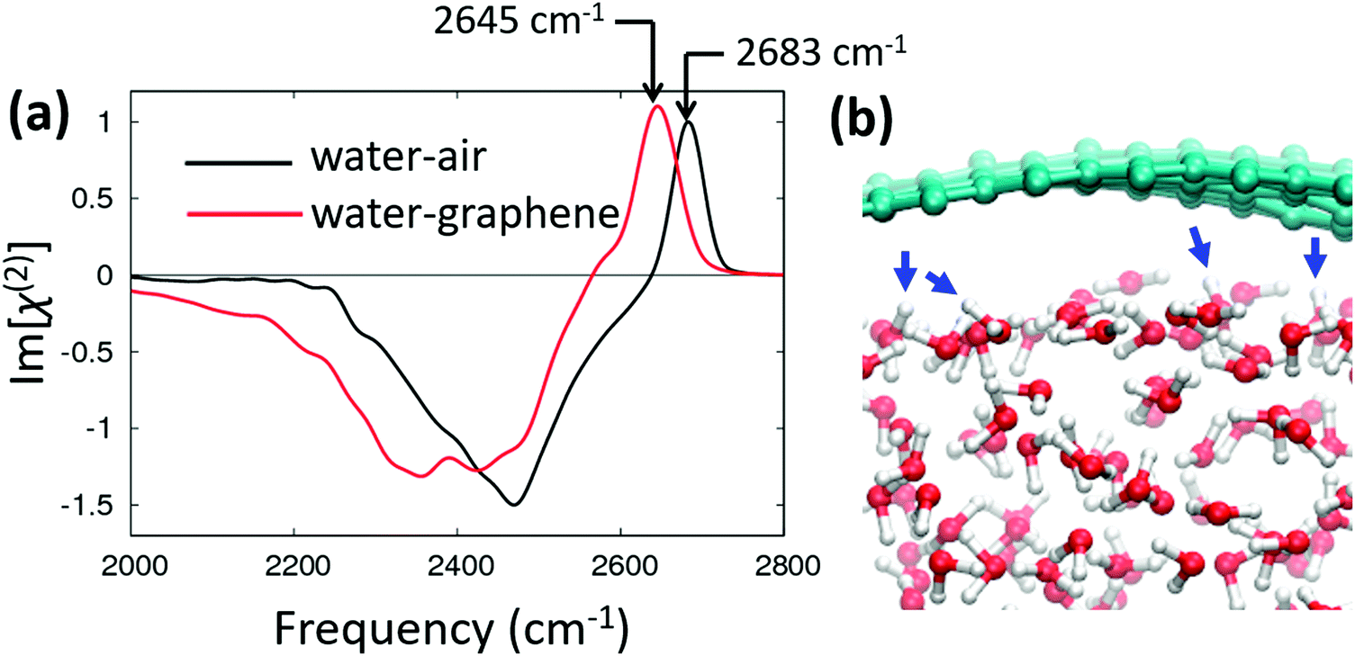 Structure and dynamics of water at water–graphene and water–hexagonal ...