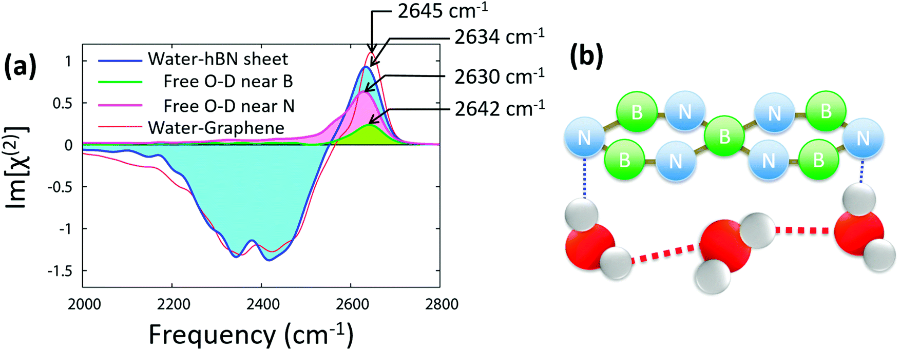 Structure and dynamics of water at water–graphene and water–hexagonal ...