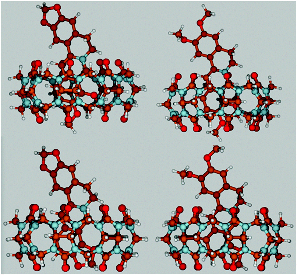 Substituent effect on the dynamics of the inclusion complex formation ...