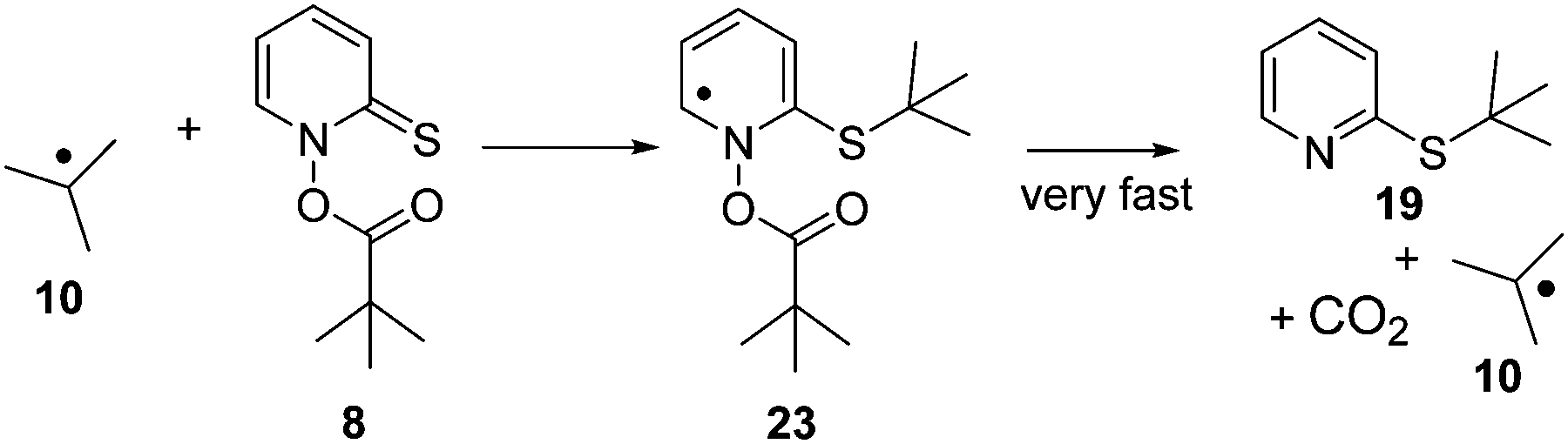Fragmentation of a dioxolanyl radical via nonstatistical reaction ...