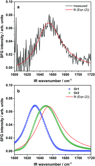 Ice-binding site of surface-bound type III antifreeze protein partially ...