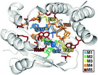 Large-scale QM/MM free energy simulations of enzyme catalysis reveal ...