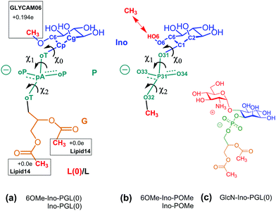 A molecular dynamics model for glycosylphosphatidyl-inositol anchors ...