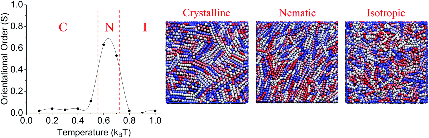 Manipulating molecular order in nematic liquid crystal capillary ...
