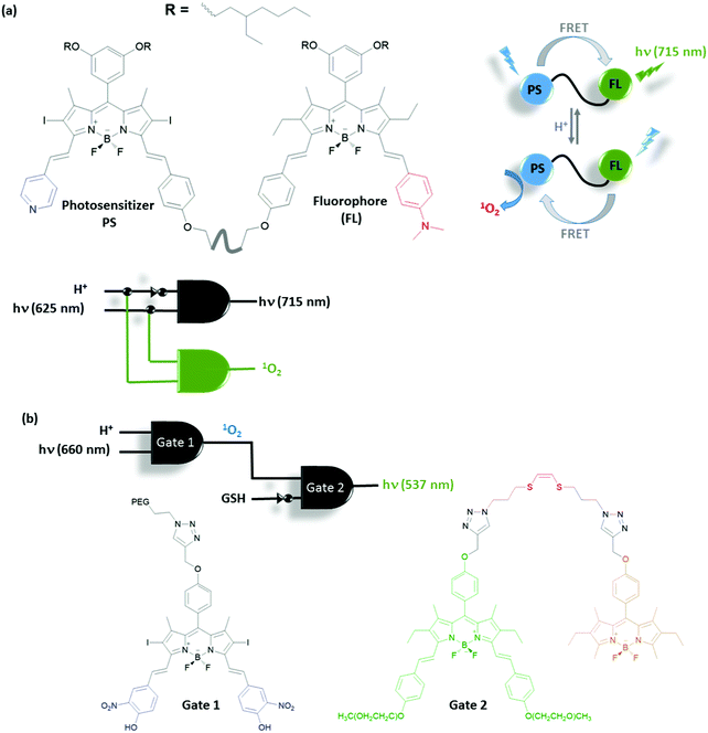 Molecular logic gates: the past, present and future - Chemical Society ...