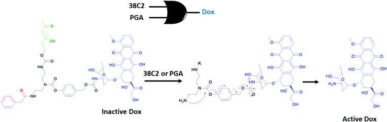 Molecular logic gates: the past, present and future - Chemical Society ...