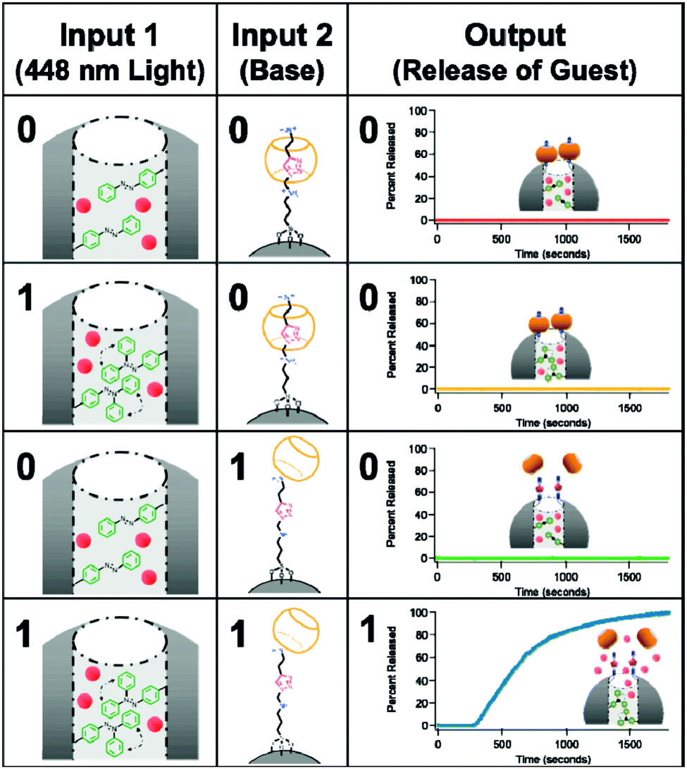 Molecular logic gates: the past, present and future - Chemical Society ...